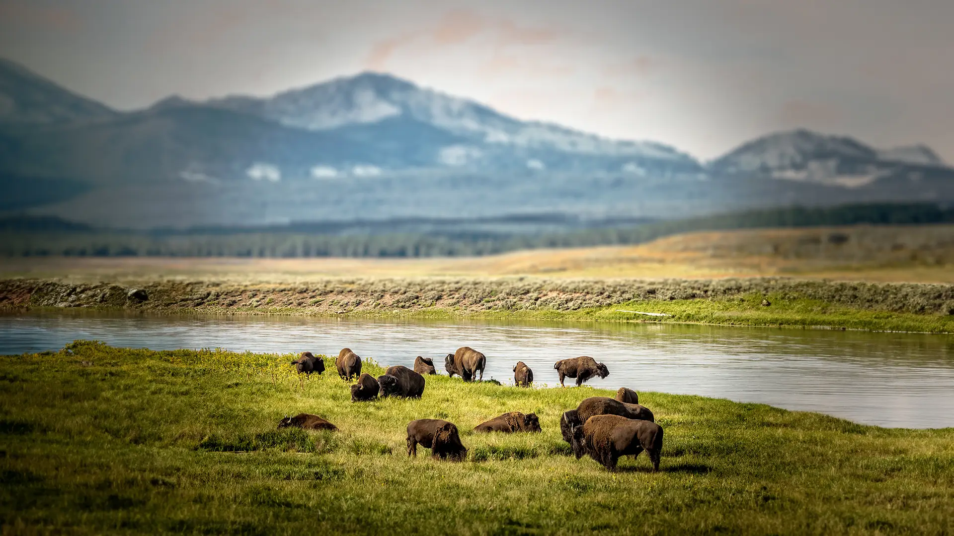 Debit and Credit Cards | Bank of Jackson Hole